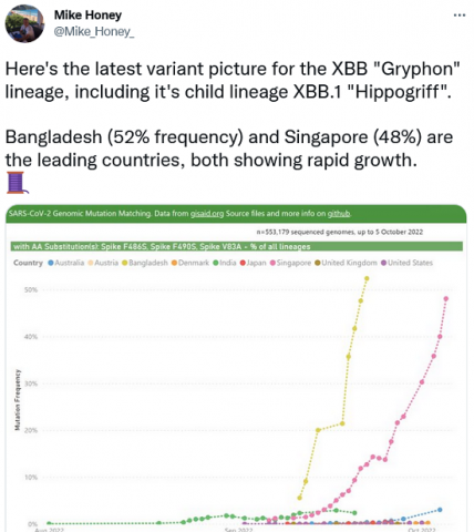 XBB set to become the dominant variant in Singapore - Coronaheadsup.com