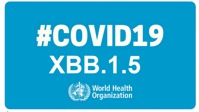 WHO: Rapid Risk Assessment for XBB.1.5 published - Coronaheadsup.com